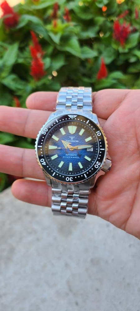 Tandorio Watch brend Automatic Japan NH35A seiko mexanizm. Safffer stk