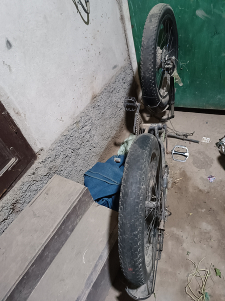 velomax balshoy shina