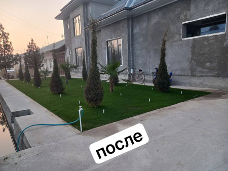 Gazon Ekish Xizmati