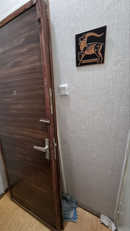 Входная металлическая дверь