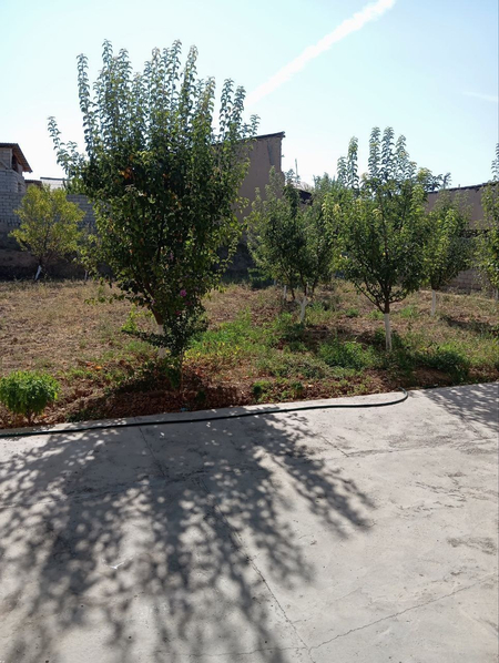 Hovli sotiladi Tashmi 2 postidan 9 km ichkarida
