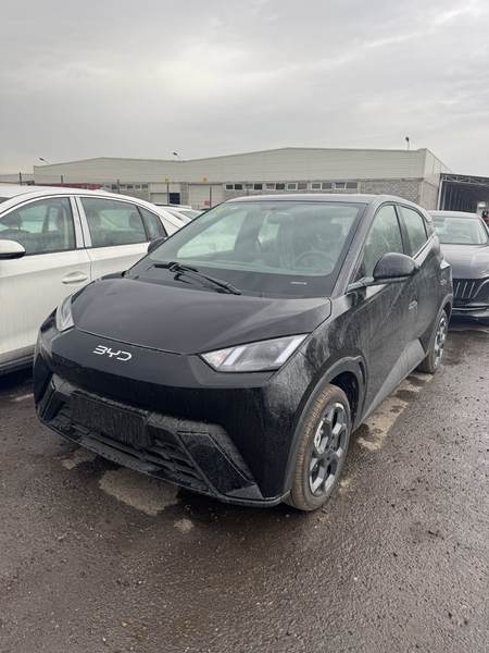 Byd seagull model 2025