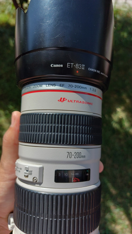 Canon ef 70-200mm f/2.8L usm