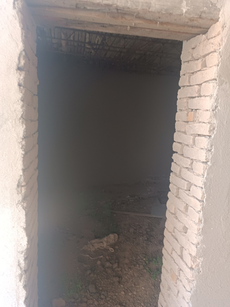 Hovli uy 5 sotix manguzar masjid roʻparasidagi mahalla ( Alang )