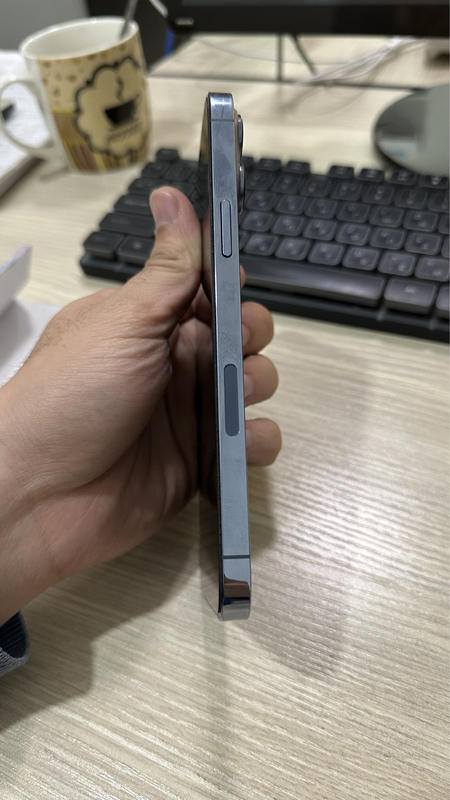 iPhone 13 Pro Max 256