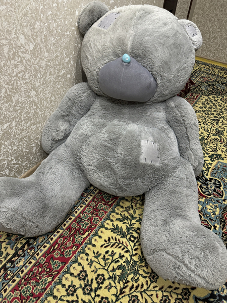 Teddy ayig 1,5 metrligi 600 ming , 55 smligi 130 ming yengi ikkalasyam