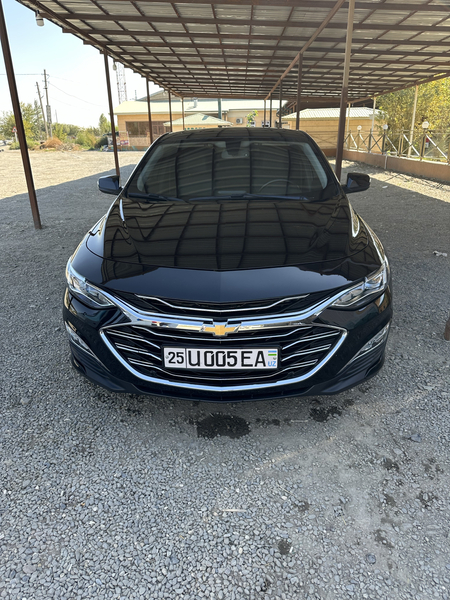 Malibu 2 PREMIER
