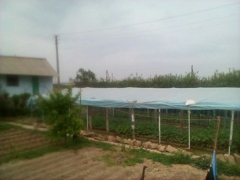 Дача Пискент 12соток
