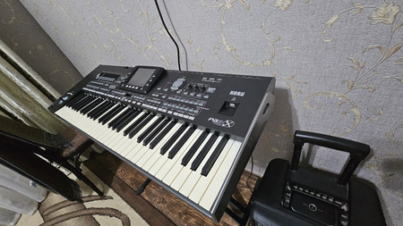 Korg pa3x ideał holatda