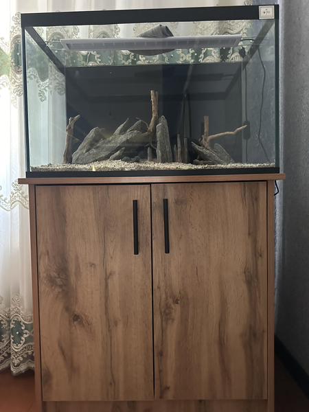 Akvarium - Bek Aquariuim
