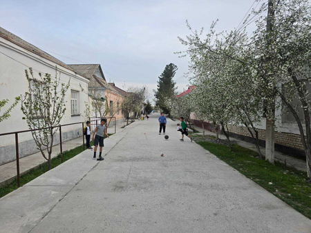 Uy,xonadon,hovli,uchastka sotiladi. 12 sotix