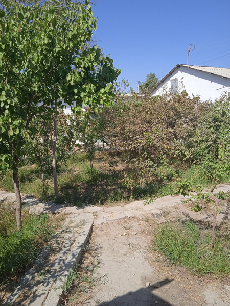 Продается дача в городе навои