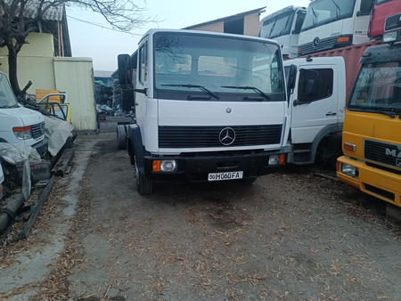 Mersedes benz 817 dizil
