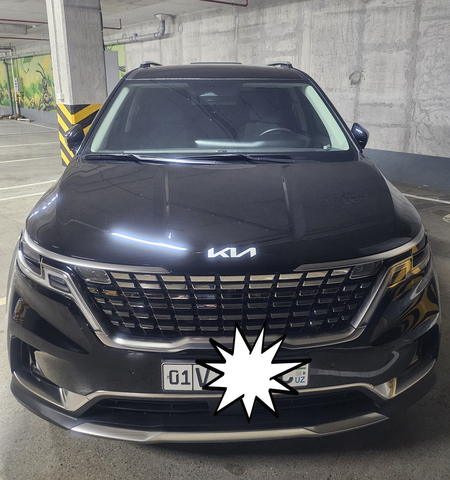 Kia Carnival Full