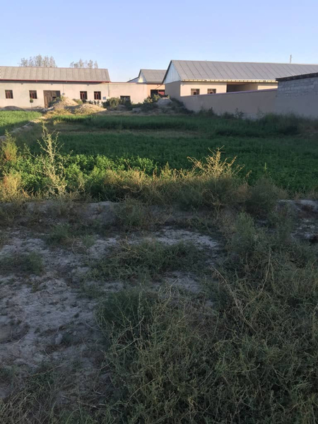 Uy joy uchun uchaska yer sotiladi Samarqant viloyati Kattaqurgon