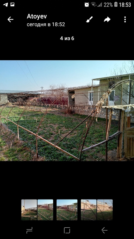 Иссикхона аркалари сотилади