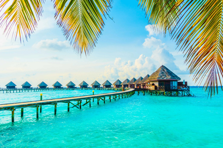Maldives / Мальдивы / Maldiv orollariga sayohat qiling!