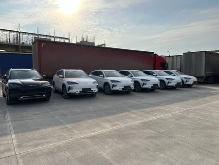 Byd chempion 605 ful
