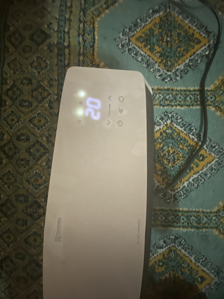 mini kanesanir holati yingi