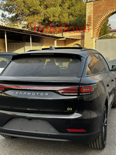 LeapMotor C11 Performance Dual Motor