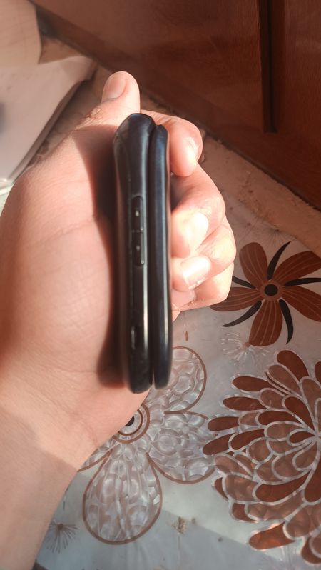 Perfectum gusto 2 + bonus nomer aybi yuq