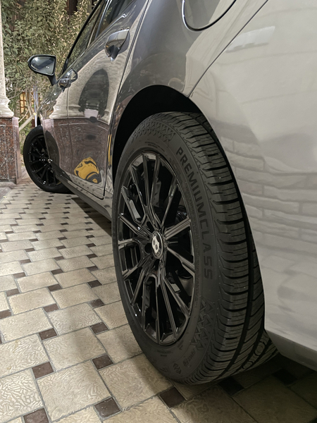 Byd chazor gibrid