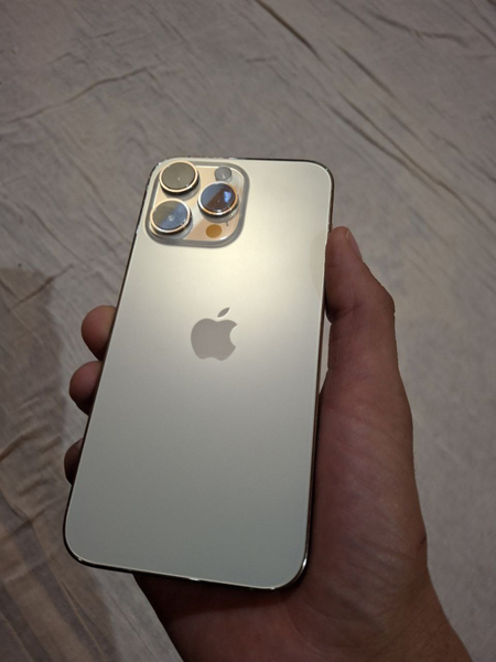 14 pro max 256 gb rodnoy gold svet