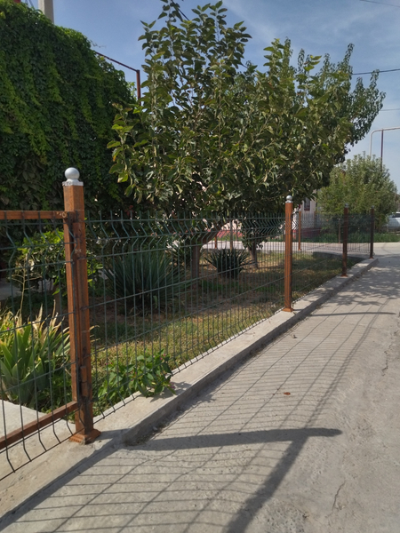 Setka rabitsa arzon narxlarda