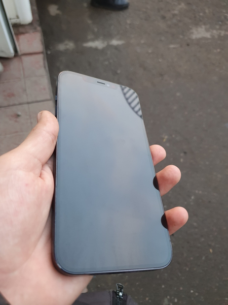 iPhone 12 Pro Max