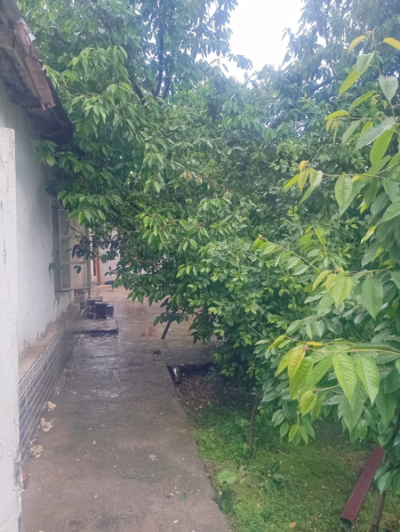 Ховли сотилади срони