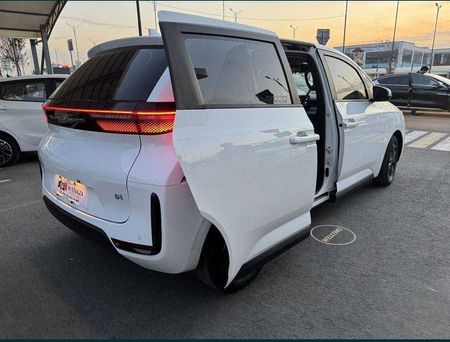 BYD D1 yili 2023/2024 oq rang