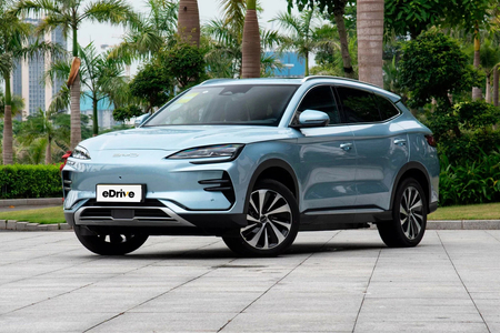 BYD Son Plus Chempion
