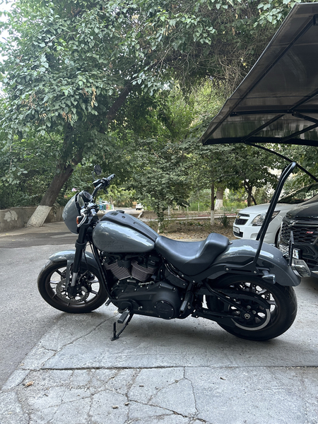 Мотоцикл Harley-davidson Low Rider S 117