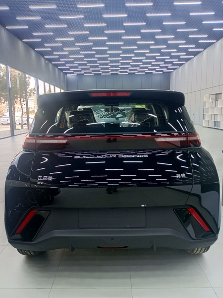 Byd seagull 2024