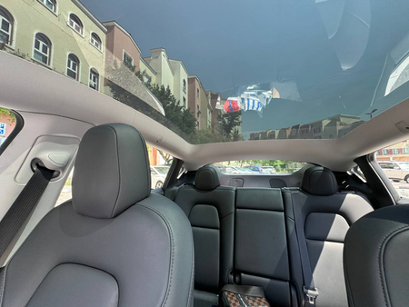 tesla.y radnoy 100%