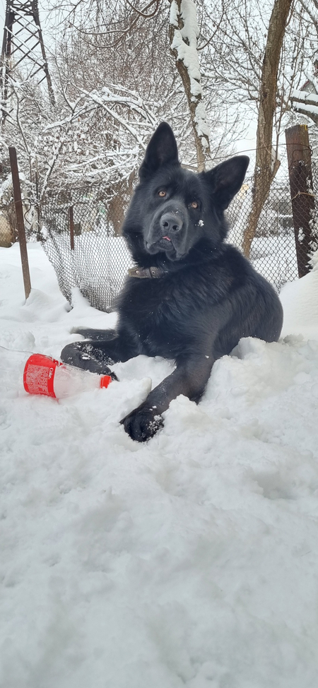 Вязка.Приглвшаем подружек.