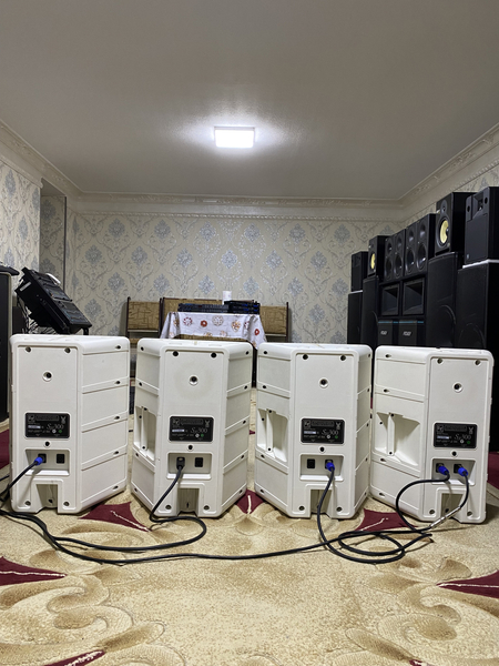 Electro Voice Sx300 Speakers