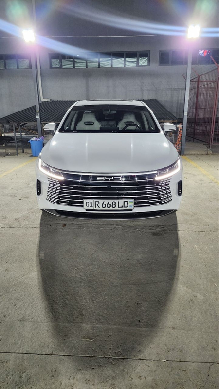 Byd chazor chapion 2024 yil 55 km srochna sotiladi