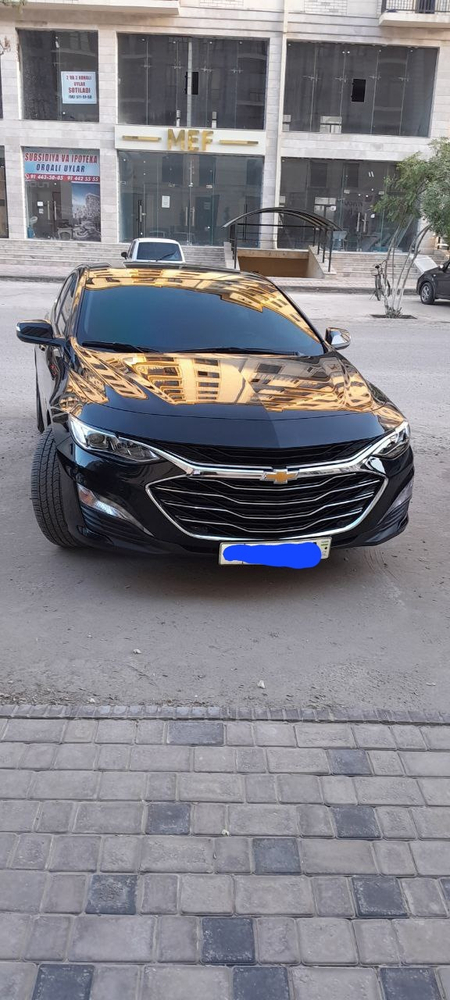 Malibu 2 primer 2021
