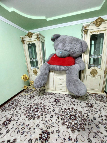 Teddy eng Kotta Razmer