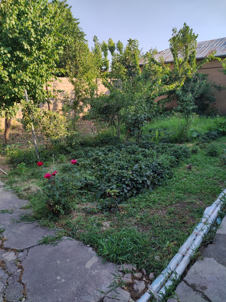 4 honali hovli sotiladi