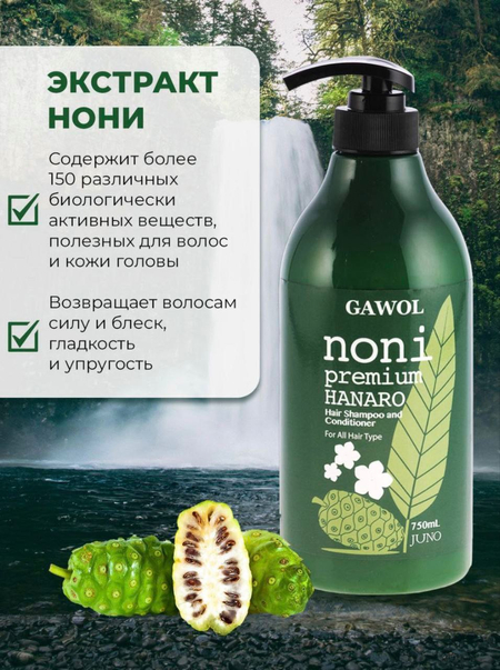 Kareyski shampunlar