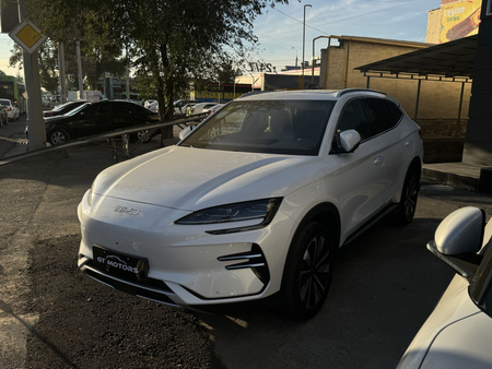 BYD Chempion 2025