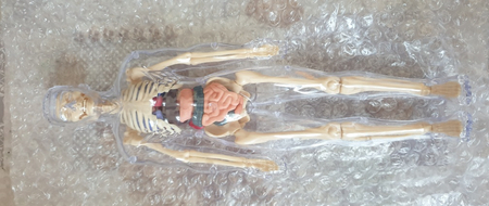 Medical  accessories Yangi