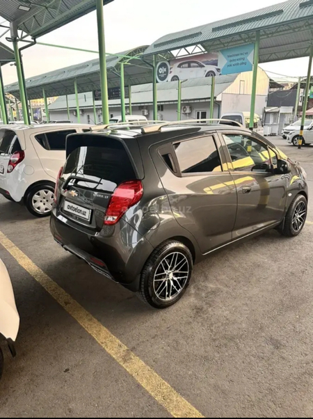Spark 4 pazitsa elegant plus