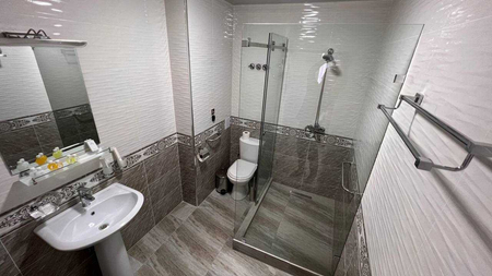 Гостиница Shosh Modern , Hotel Shosh Modern