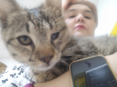 Кошечка 3 месяца