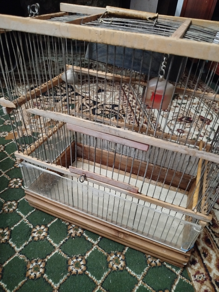 Продам клетку для птиц,хомячков и т.д размер 40/40