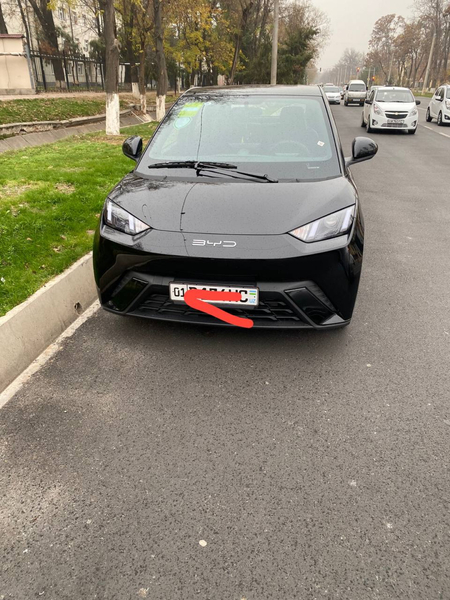 BYD seagul 405 km 2024