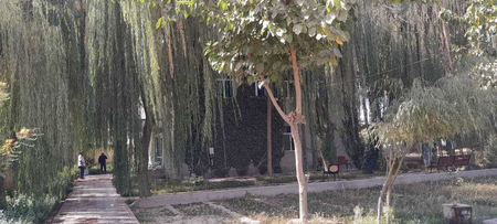 Davolash maskani binosi